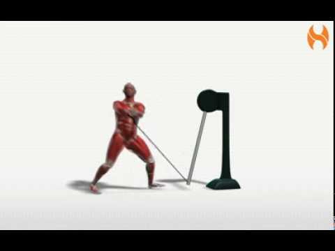 Exercise Videos- Cable Lateral Lunge Wood Chop - YouTube