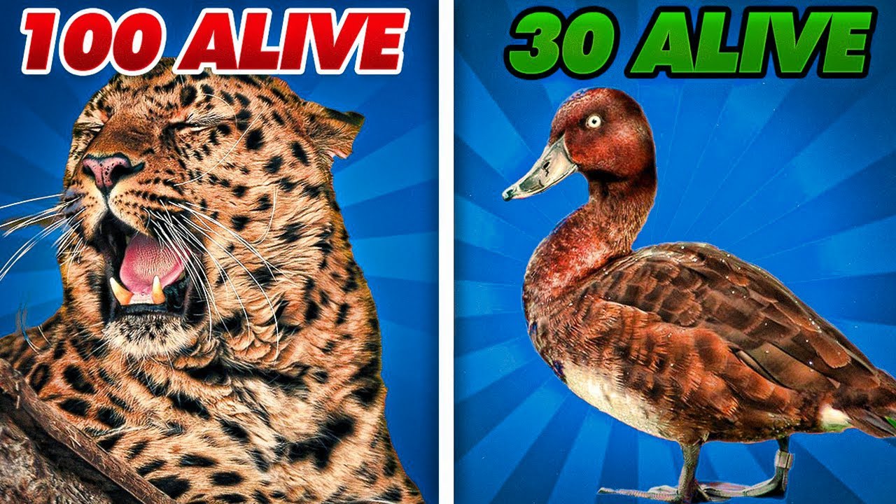 Rarest Animals in the World | Weird Animals You Didn't Know Existed ...