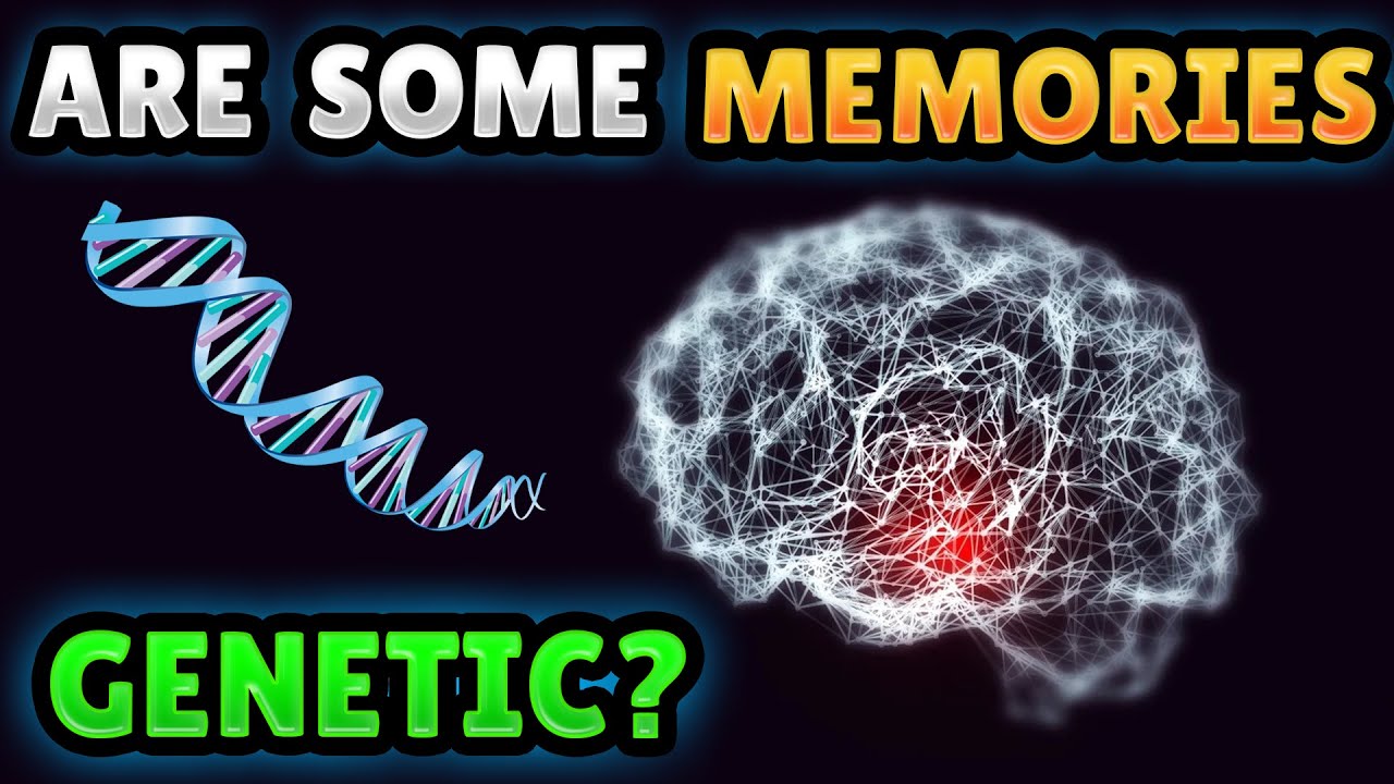 Are Some Memories Genetic? - YouTube