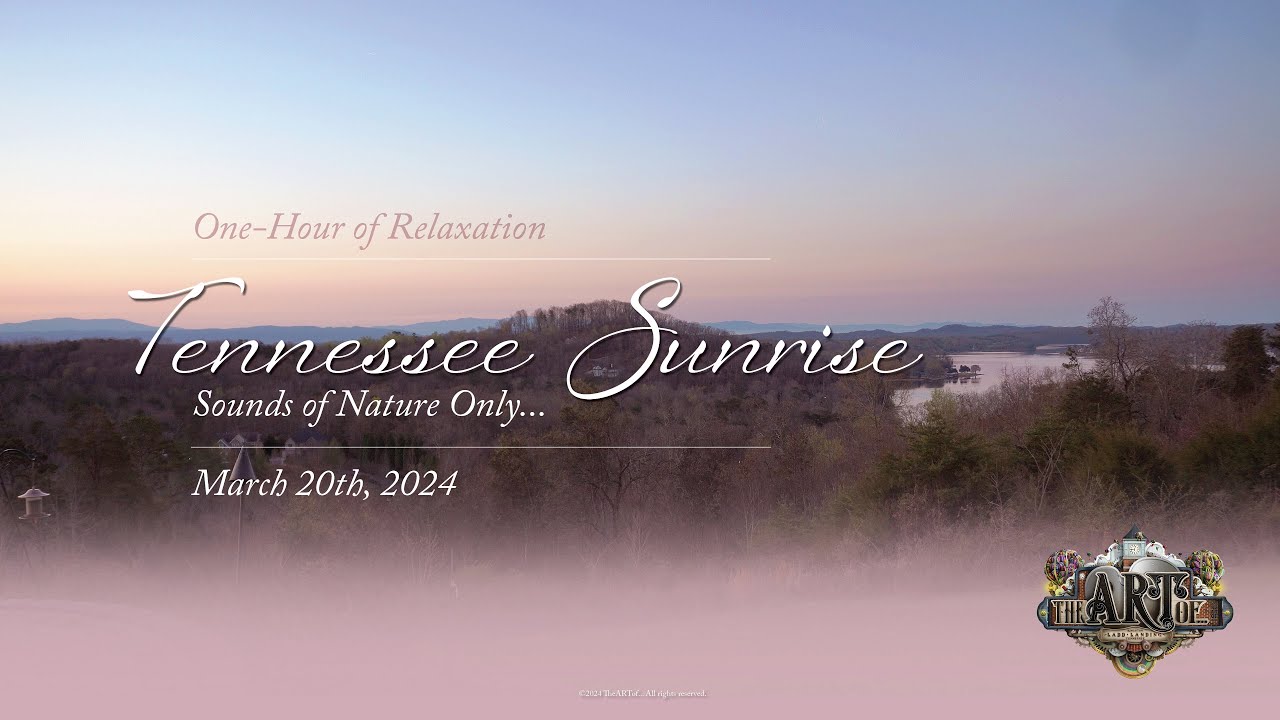 The Art of a Tennessee Sunrise all natural. No music. 4k. - YouTube