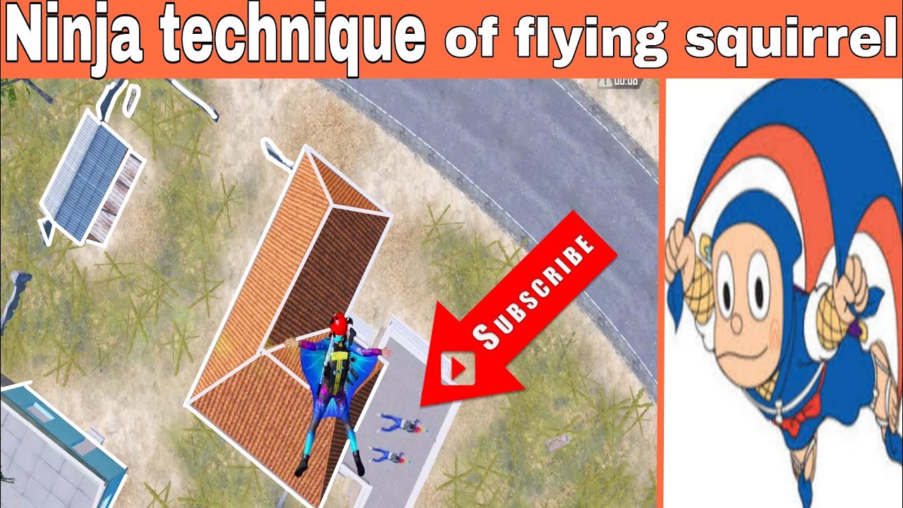 Ninja Flying Squirrel