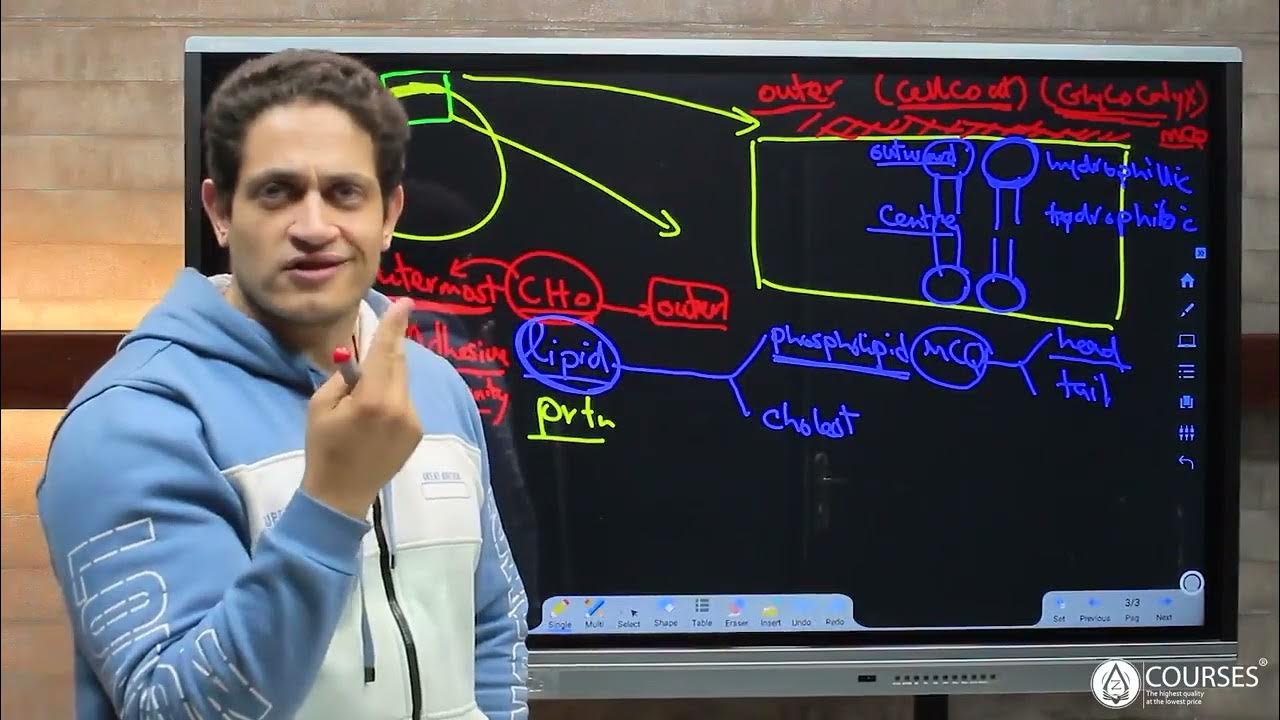 Histology Final Revision - Lectures (1 - 2 - 3 - 4) - YouTube