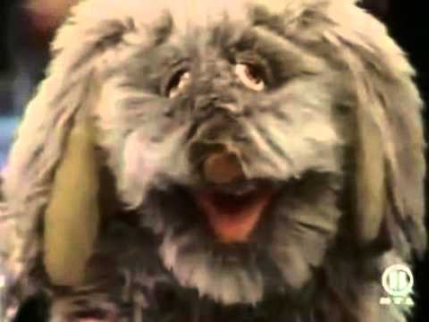 Best of Mr Floppy Teil 2 - Auf schlimmer und ewig - - YouTube