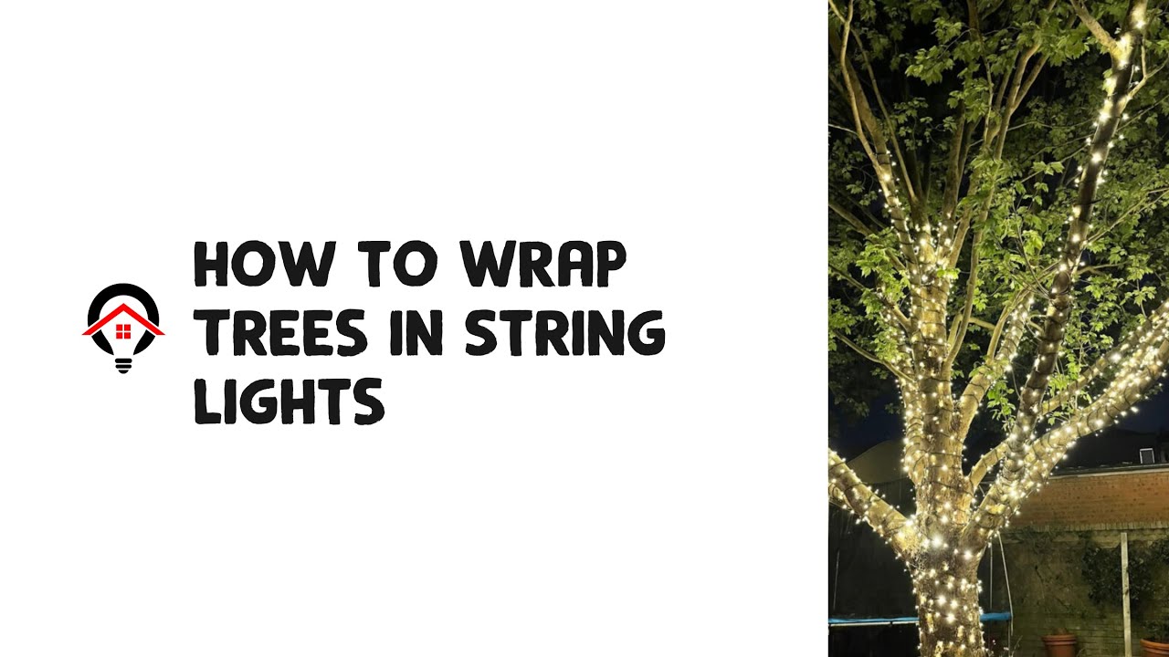 How to Wrap Trees in String Lights - YouTube