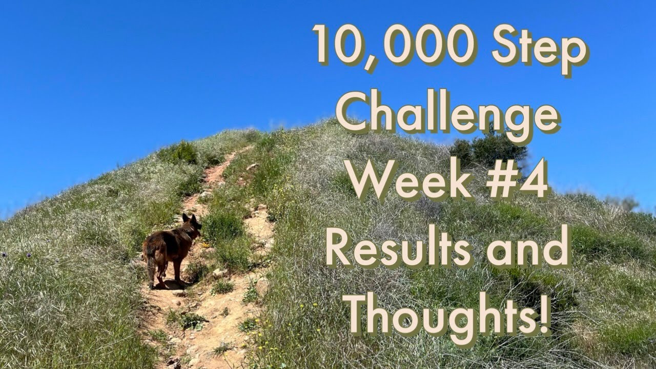 10,000 Step Challenge Week #4 Results - YouTube