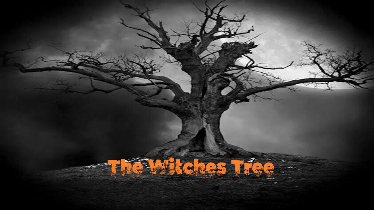 The Witches Tree - YouTube