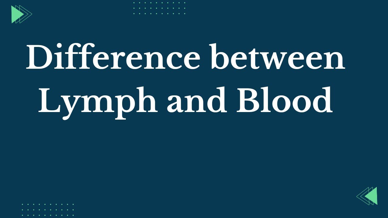 difference between lymph and blood || Its Study time || - YouTube
