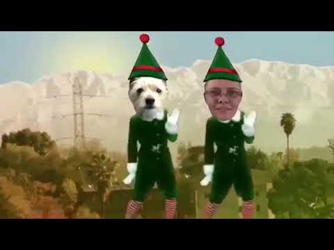 Elf bin bin two - YouTube