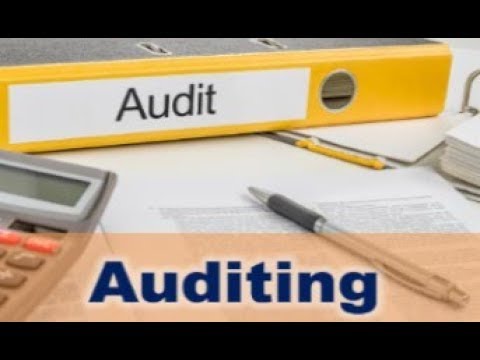 Introduction to Auditing - YouTube