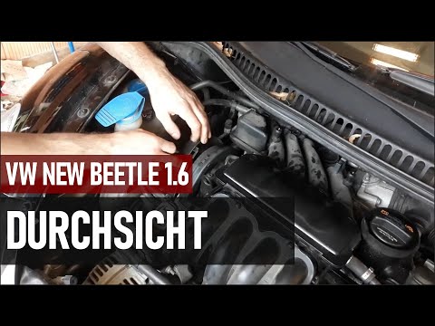 VW New Beetle 1.6 | Der Mängel Check  #cars #tutorial #diy