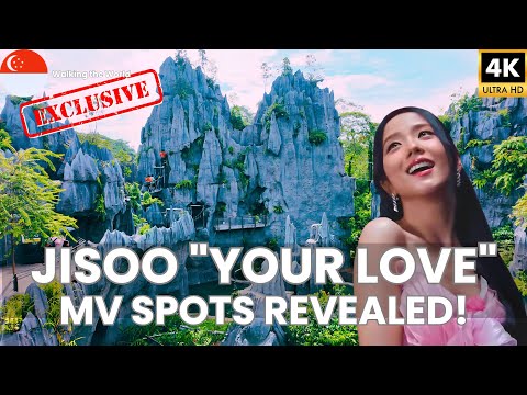 Exploring Blackpink JISOO's \