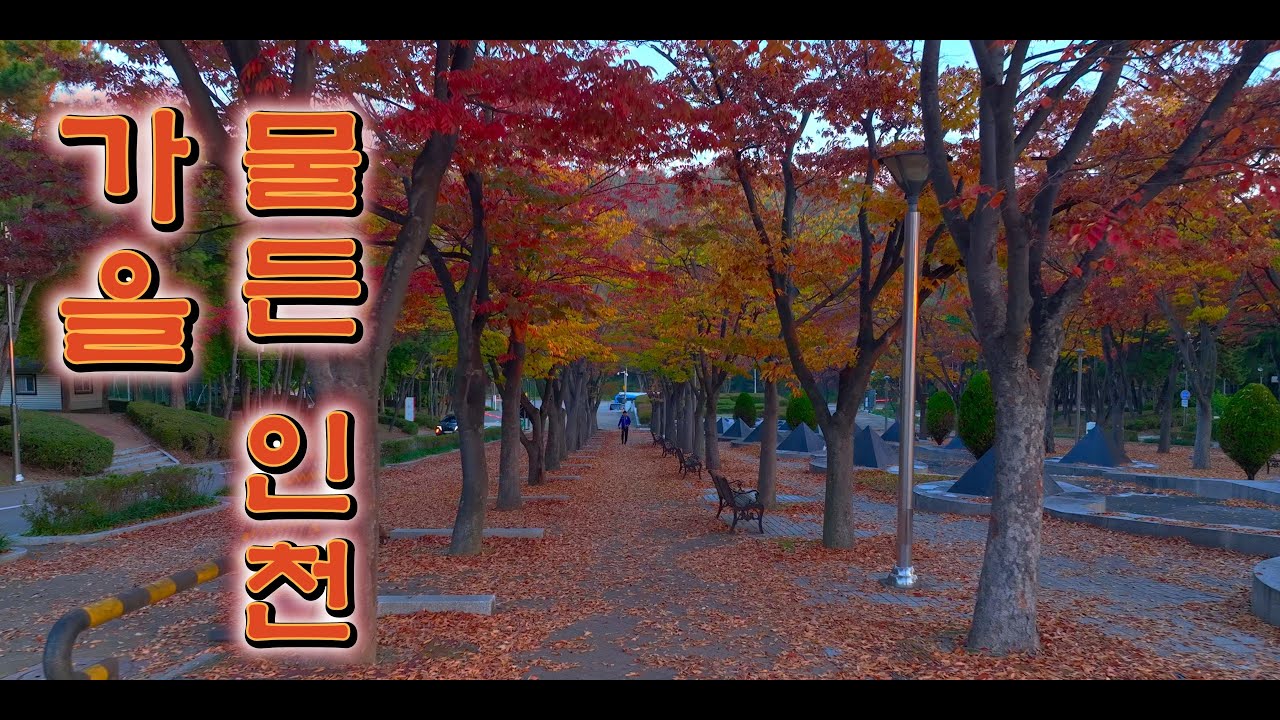 인천 가을풍경 문학경기장 가을영상 가을드론영상 아재한스 꾸메드론 Youtube