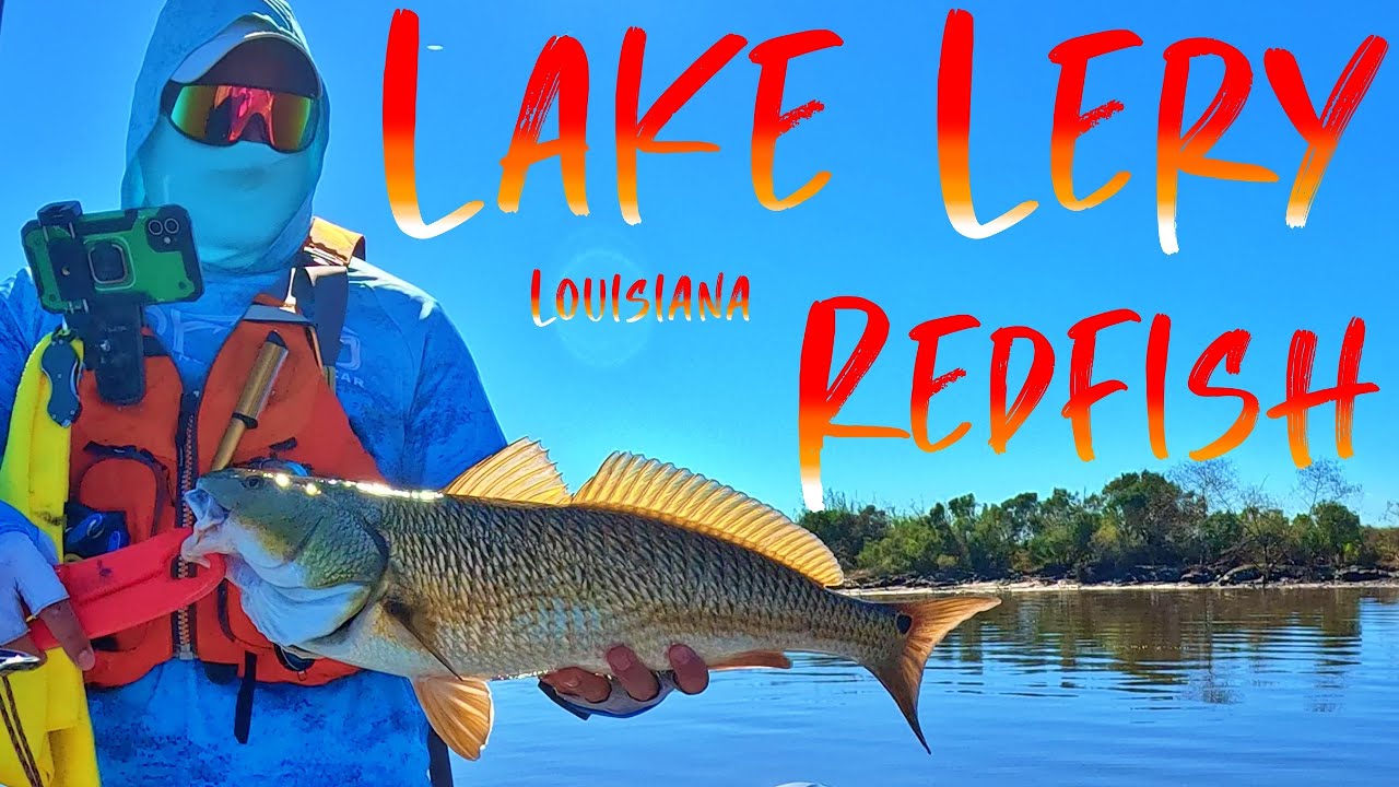 Redfish MADNESS - Lake Lery Nov 23rd 2024 - Part II - YouTube