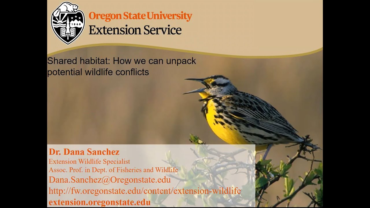 Shared Habitat: How we can Unpack Wildlife Conflicts - YouTube