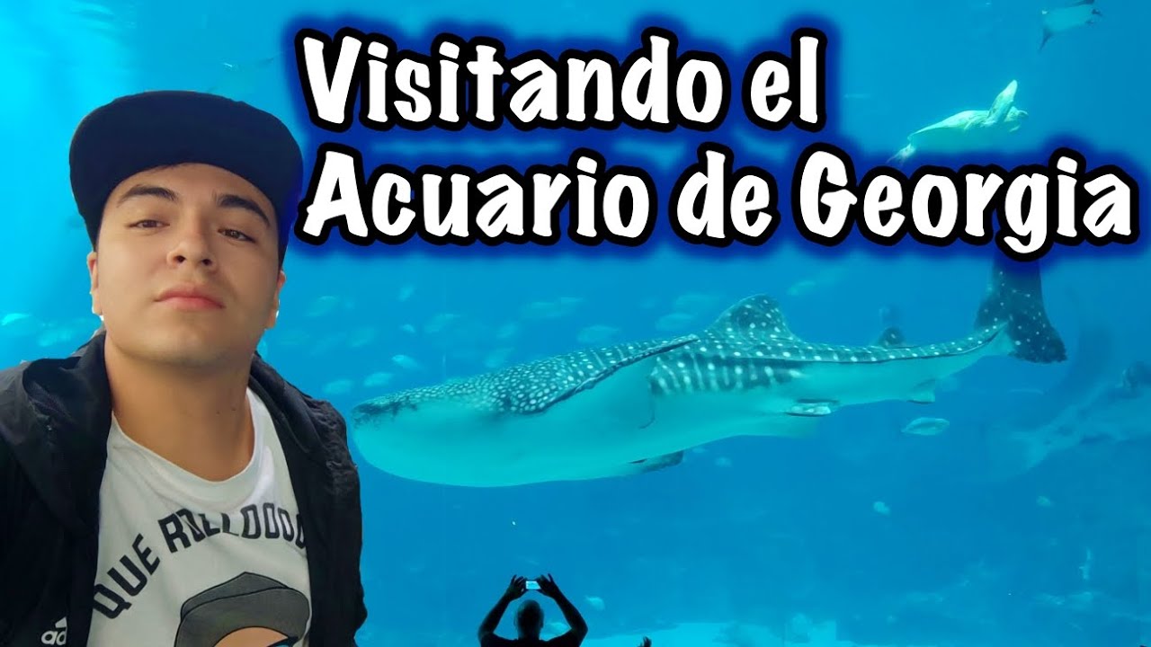 🐋 VISITANDO el ACUARIO de ATLANTA GEORGIA 🦈 - YouTube