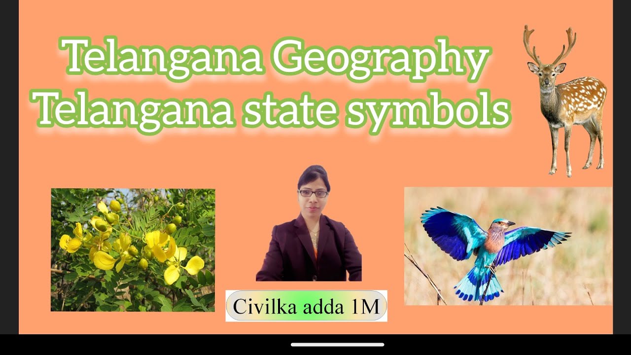 Telangana Geography || Telangana state symbols - YouTube