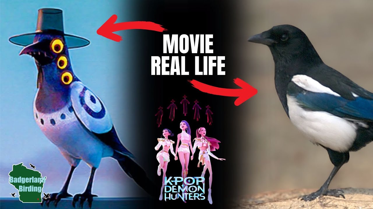 Why The Bird in K-Pop Demon Hunters Is Cooler Than You Think! - YouTube