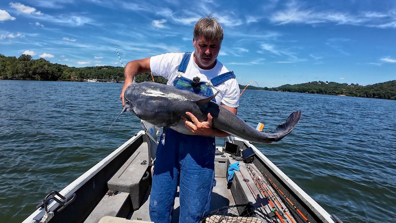 Watch This To Learn How To Catch Really Big Catfish - YouTube
