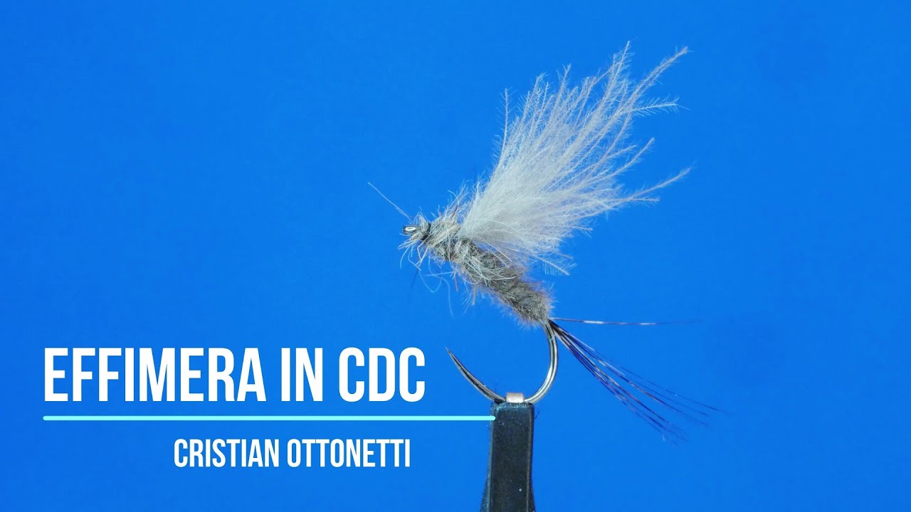 Effimera in CDC - YouTube