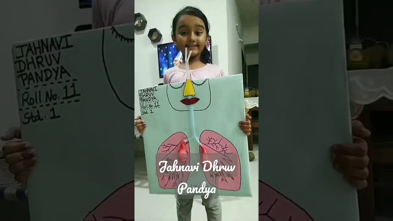 About Lungs | Science Project | Jahnavi Dhruv Pandya – Go IT About Lungs | Science Project | Jahnavi Dhruv Pandya – Go IT