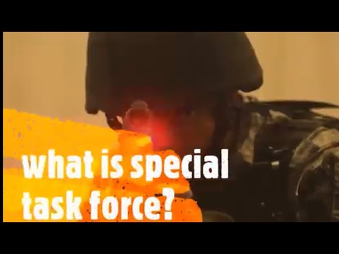 What is a special task force?/STF?/What do task force do?/operation of ...