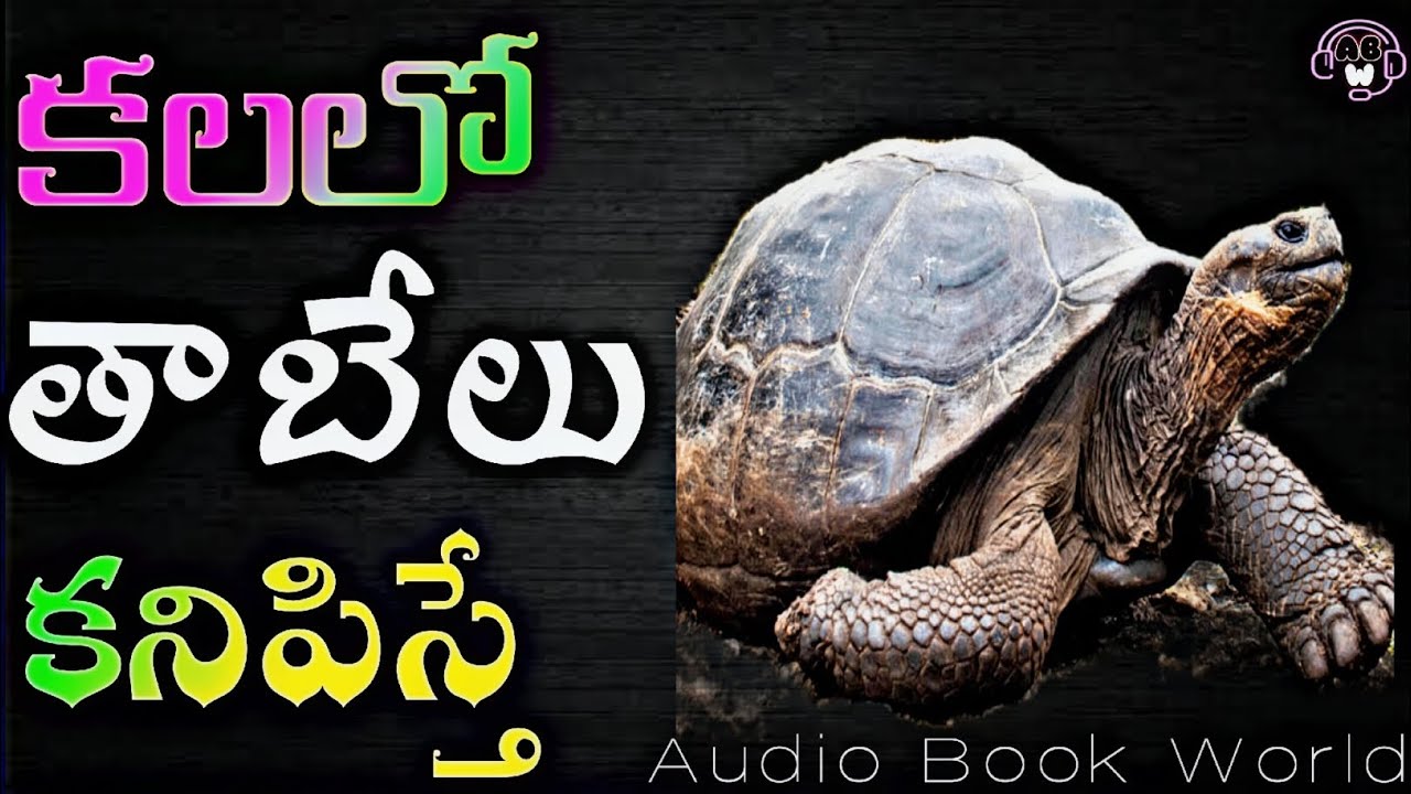 కలలో తాబేలు కనిపిస్తే | Kalalo Thabelu Kanipisthe ...