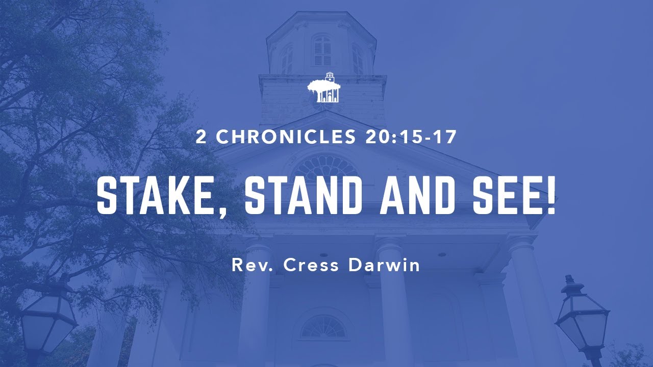 Stake, Stand and See! - YouTube