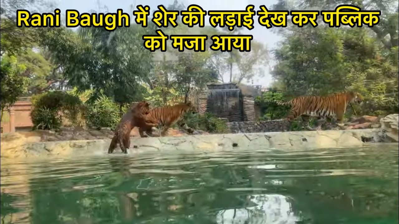 Rani Bagh Mumbai 2023 | Complete Tour Of Rani Bagh | Mumbai Byculla Zoo ...