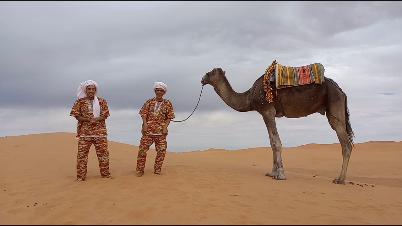 Camel guys at the Sahara tell Camel jokes - YouTube