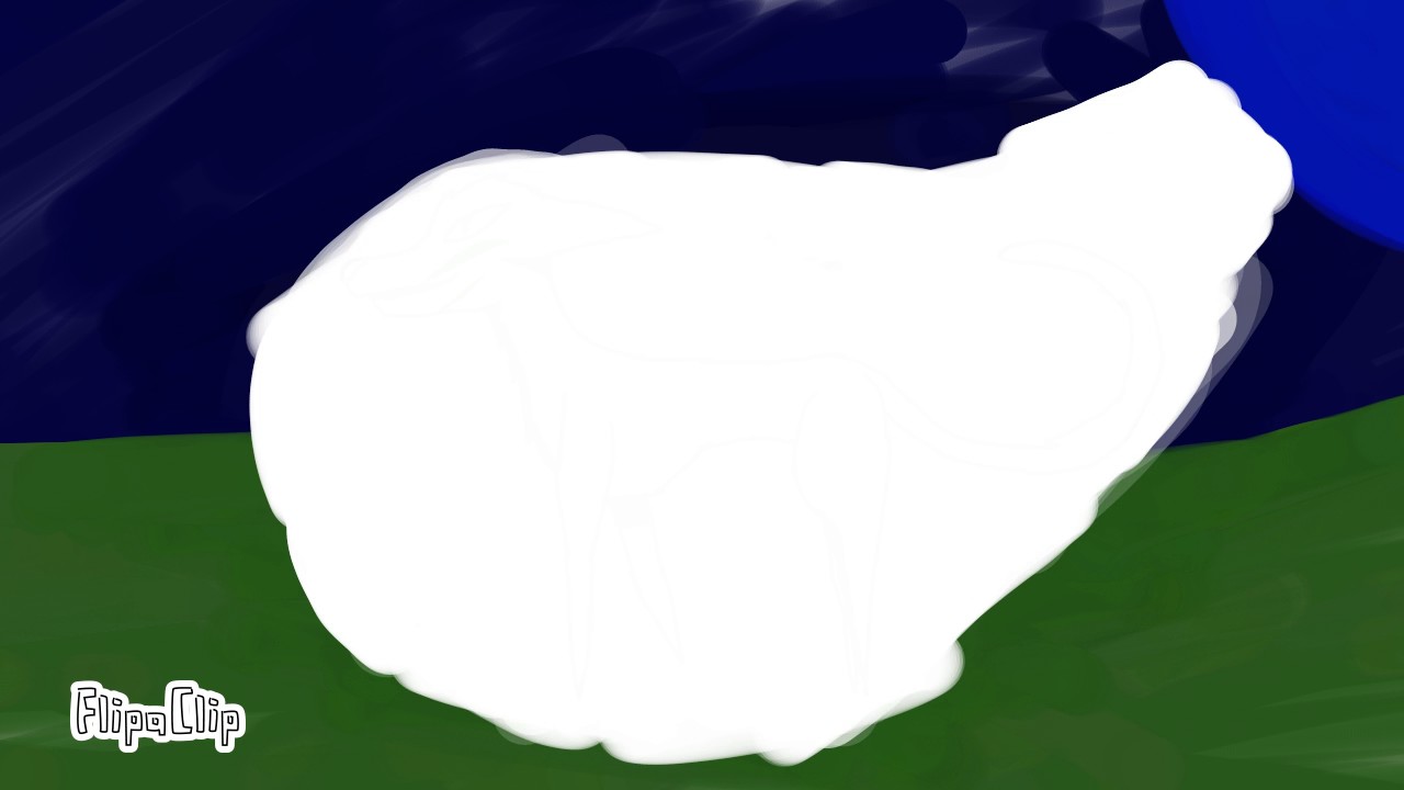 Animation test - YouTube