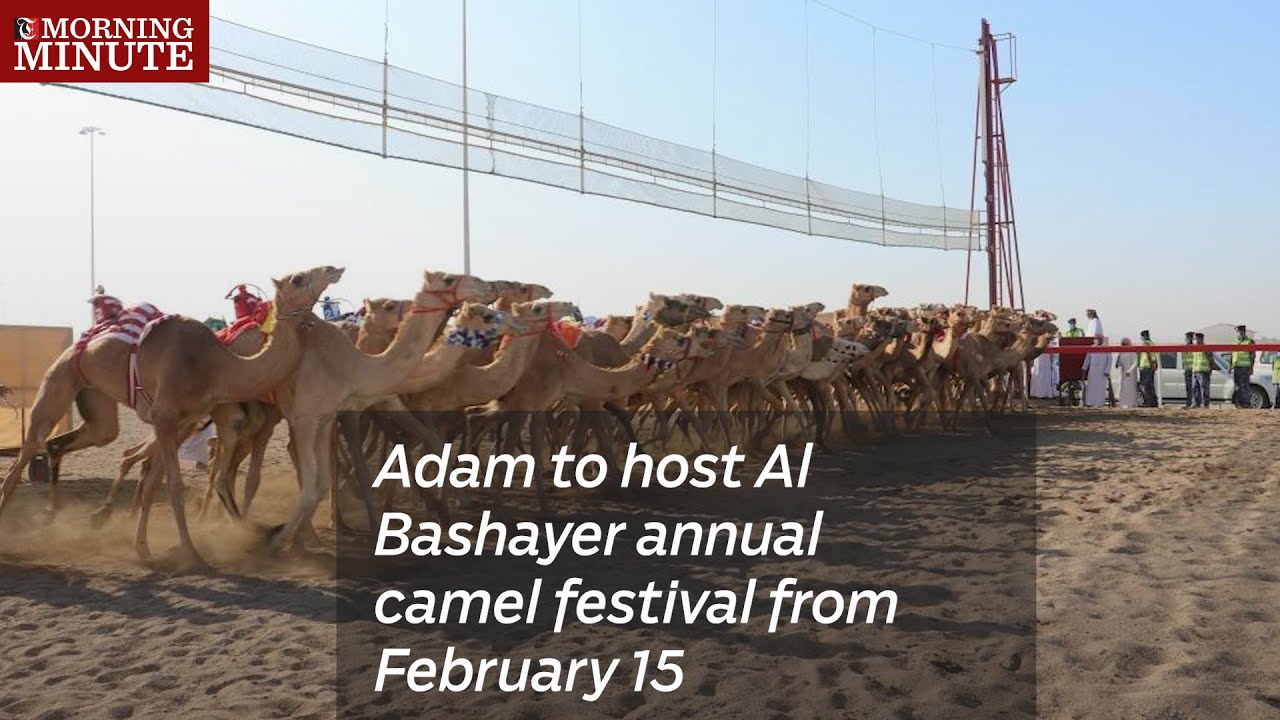 Adam to host Al Bashayer annual camel festival from February 15 - YouTube