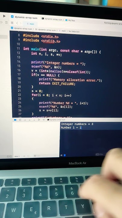 Software Engineering C Language Dynamic Array Sum Xcode Macbookair Apple Coding