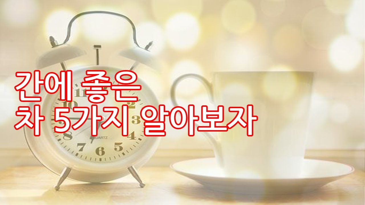 간에 좋은 차 5가지 알아보자 Youtube