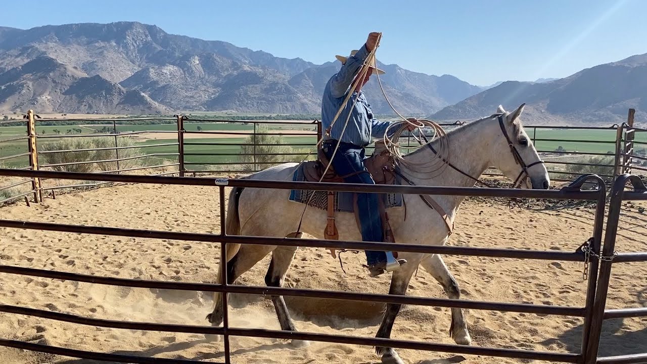 Horse Shopping 102 - plus some roping shots & advice - YouTube