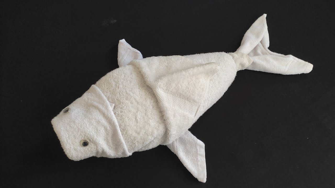 How to Make Dolphin Using Towel | Towel Folding design | Towel animals ...