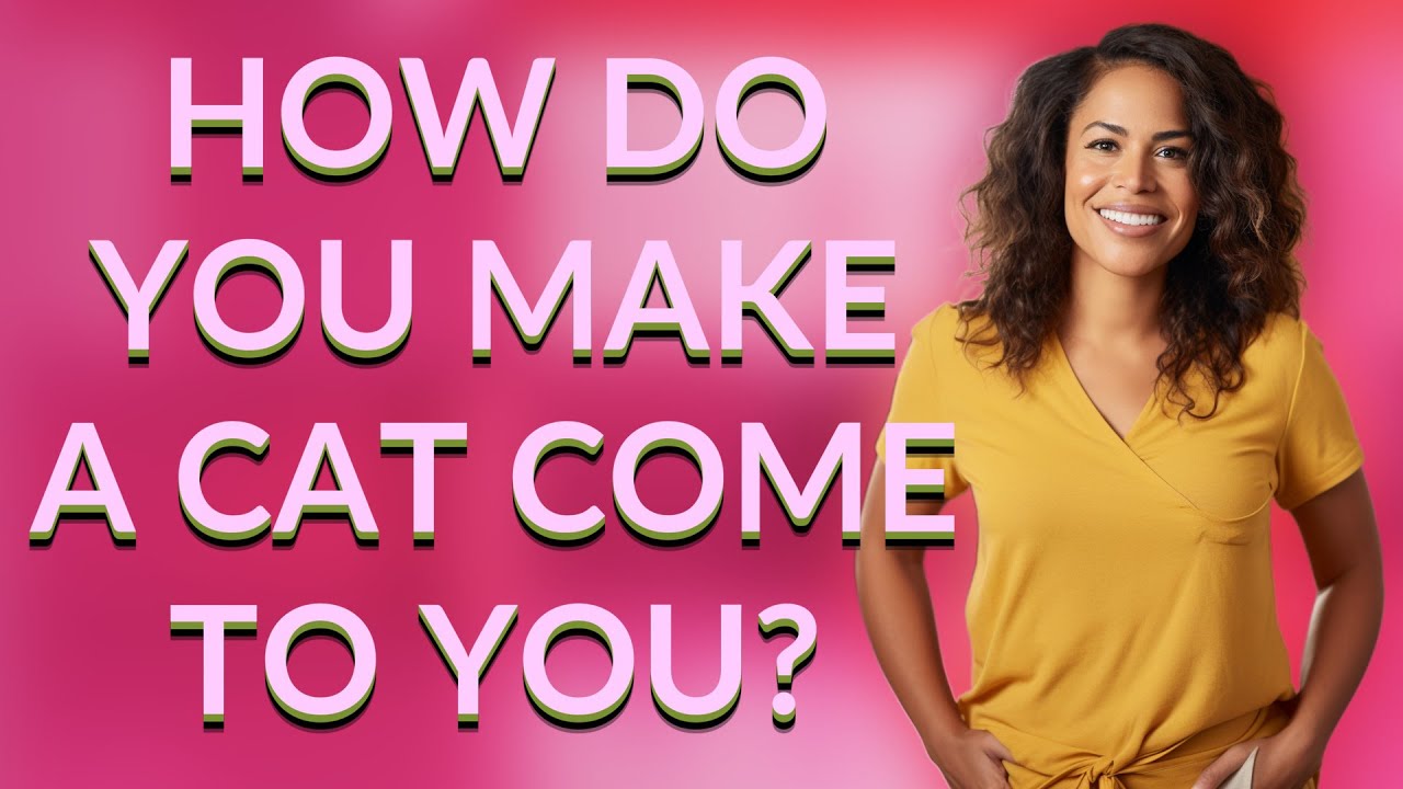 How do you make a cat come to you? - YouTube