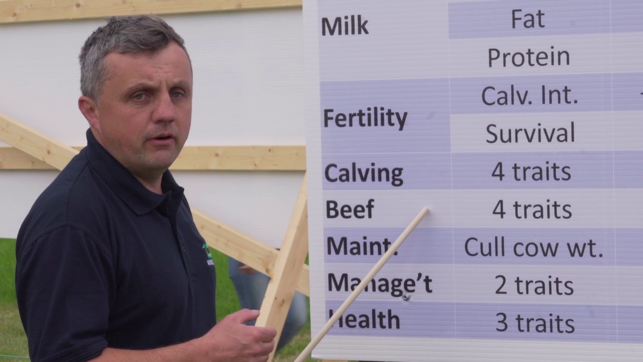 George Ramsbottom - Dairy Open Day 2017 - YouTube