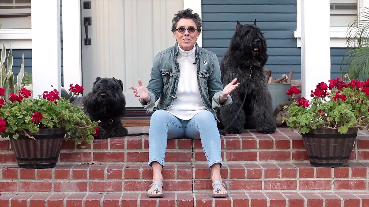 Realtor Alison Clay Duboff is More Than a Name on a Business Card - YouTube