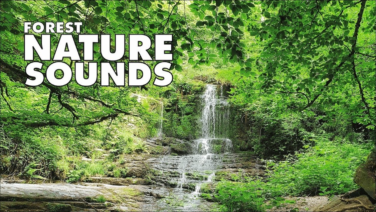 💚 Relaxing nature sounds white noise. Calming Forest nice waterfall ...