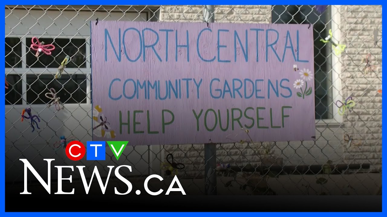 North Central Community Gardens brings people together | Indigenous ...