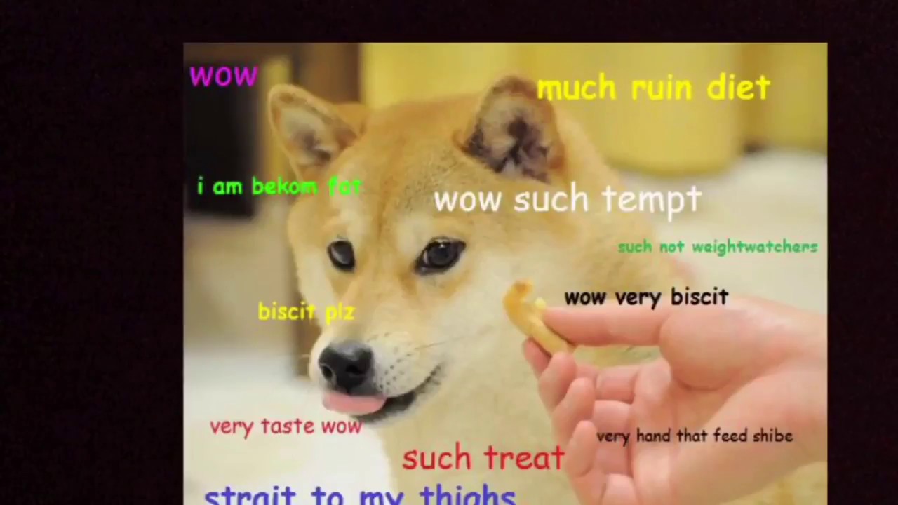 A lot Of Doge Memes😂😂🤣😅 - YouTube