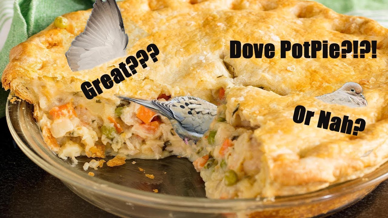 WE MAKE A DOVE POT PIE?!?! - YouTube