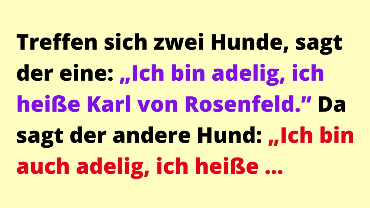 Herrlich flache WITZE 10 lustige kurze FLACHWITZE, die ich einfach ...