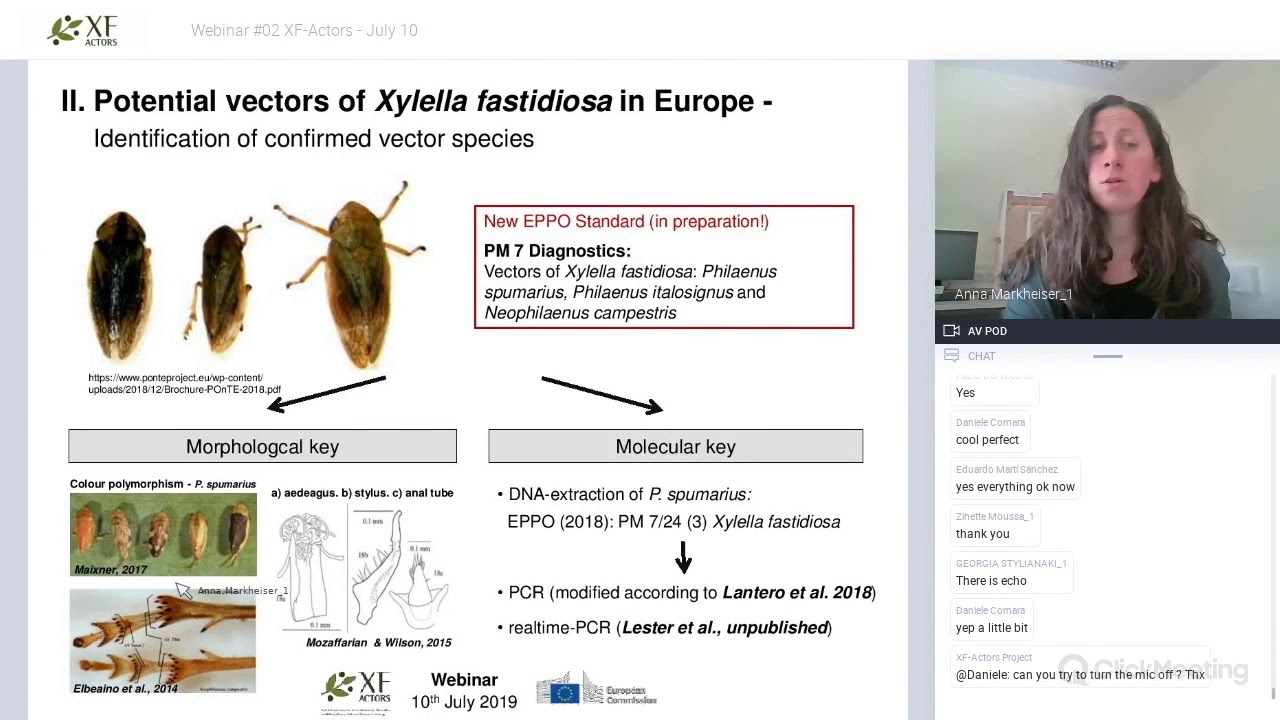 Vectors of Xylella fastidiosa in Europe – Life history and transmission ...