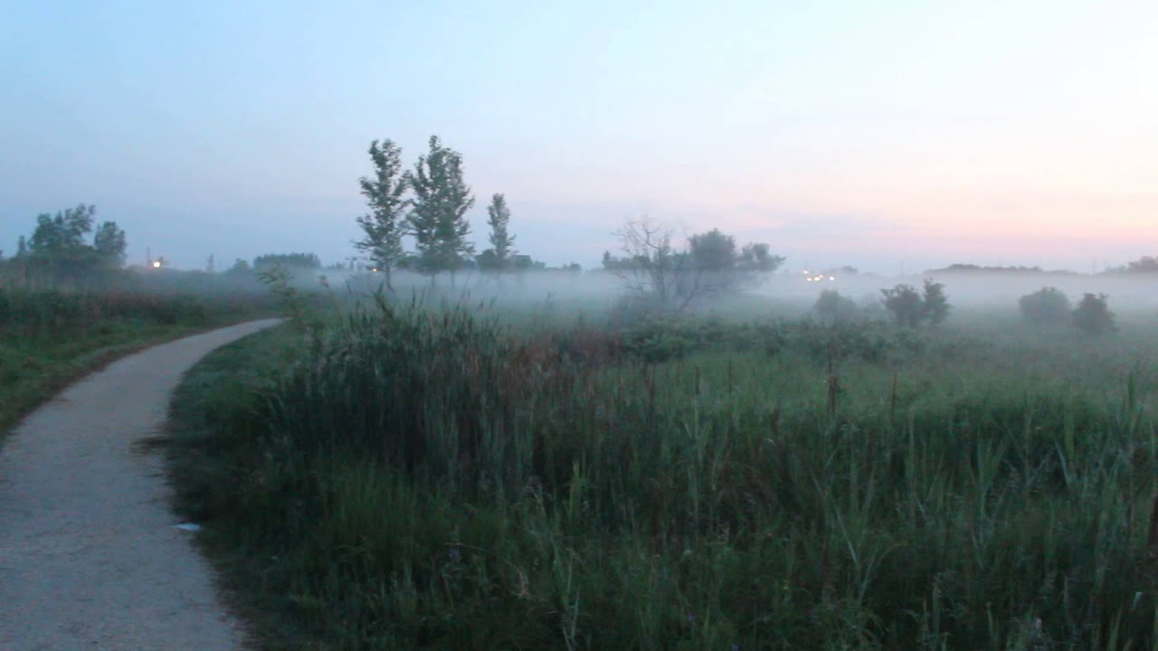 June 26, 2015 - Fog @ the Transcona Bioreserve (#3) - YouTube