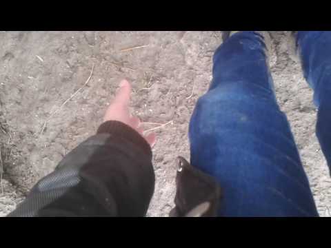 horoza  bas git  diyen çocuk 😊