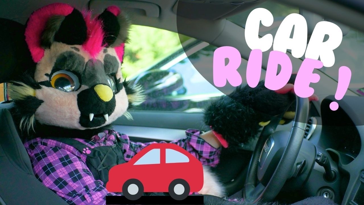 FURRY ASMR | Zara takes you on a ride ! 🚗🐈 - YouTube