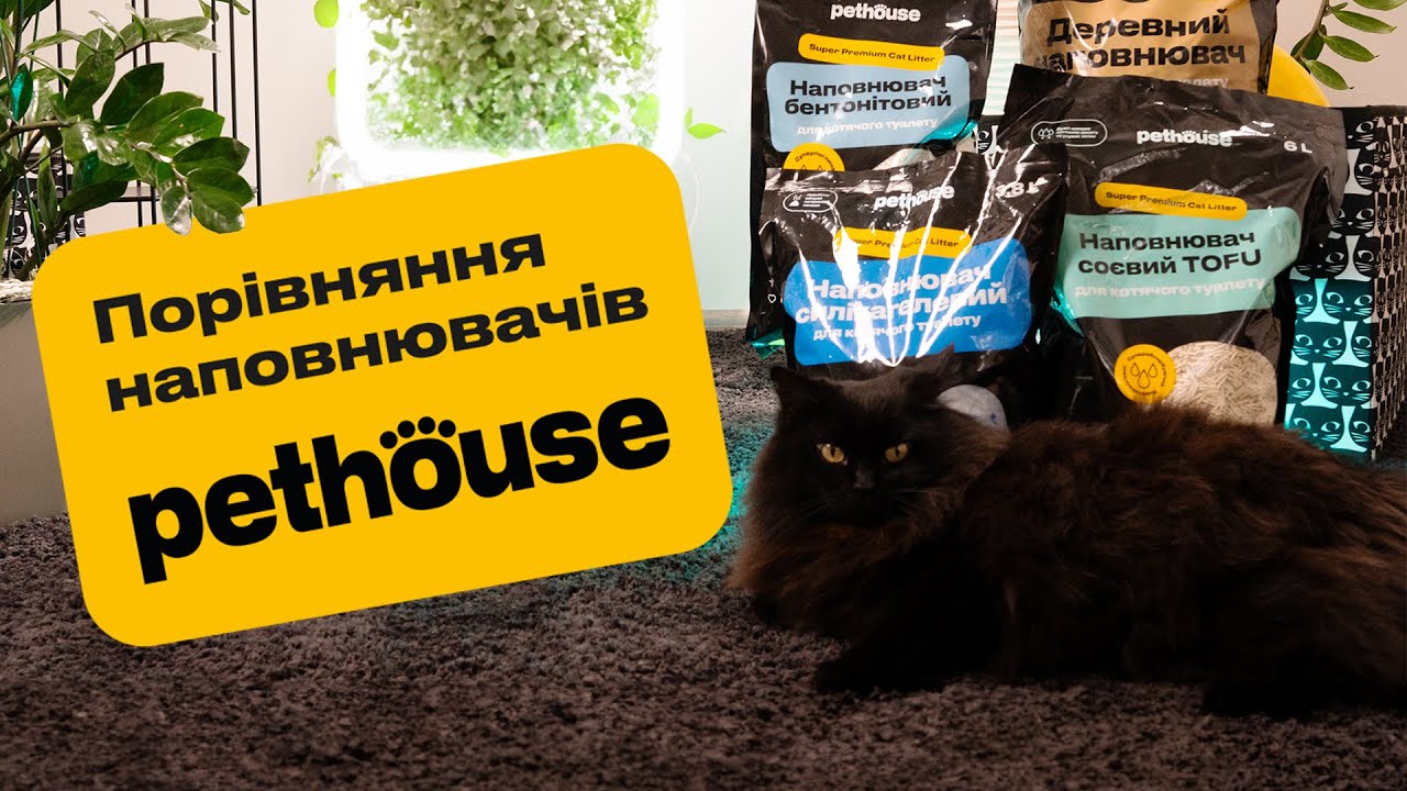 Порівняння наповнювачів PETHOUSE - YouTube