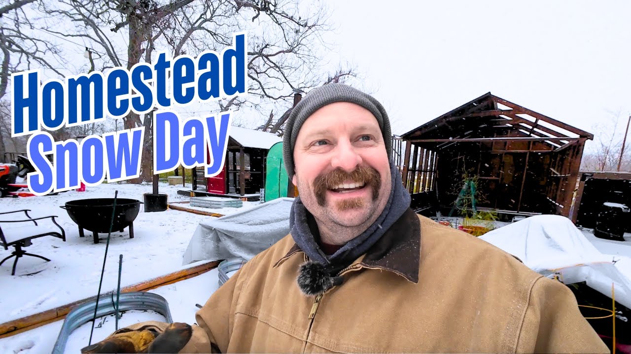 Unexpected Snow Day: How Our South Texas Homestead Handled the Cold ...