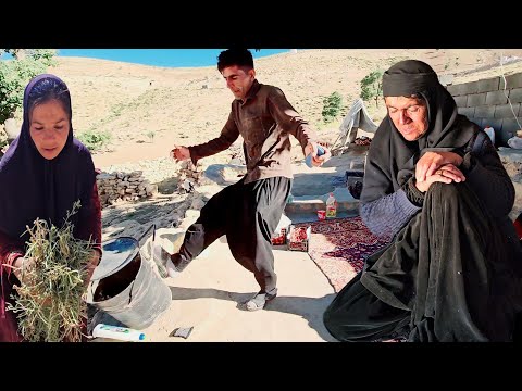 👵😱 Grandma disagreed with Hujjat; what was the reason for this argument?